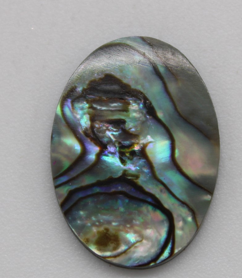 shell cabochon paua small oval – Laughing Woman Crafts & Supplies